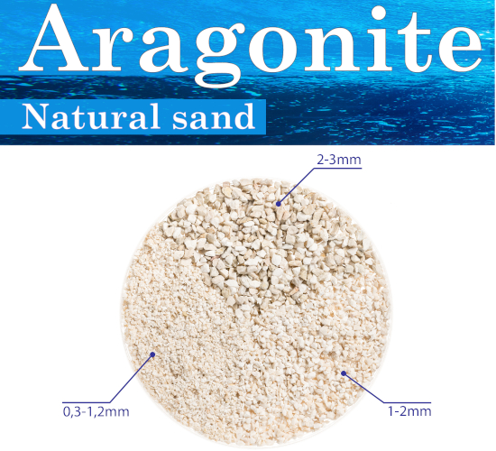 Aragonites BV | Home